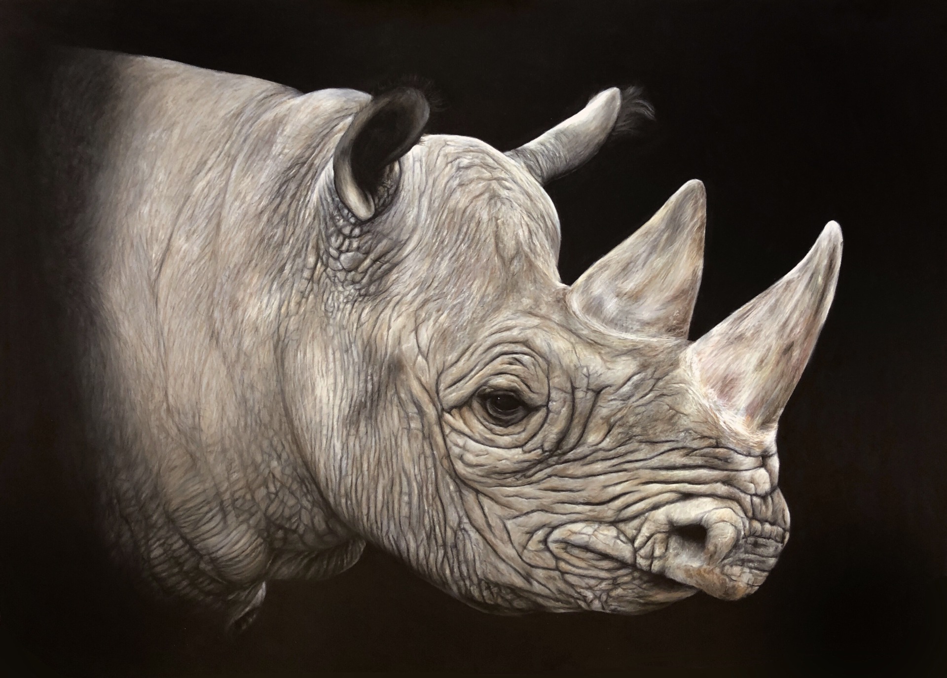 African Big Five